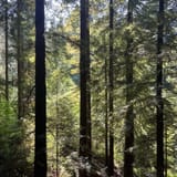 Washington Park Loop, Oregon - 1,438 Reviews, Map | AllTrails