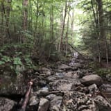 Dix Mountain via Dix Trail, New York - 386 Reviews, Map | AllTrails