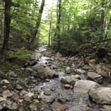 Dix Mountain via Dix Trail, New York - 386 Reviews, Map | AllTrails
