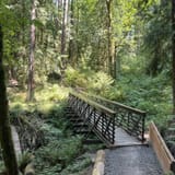 Tryon Creek Triple Bridge Loop, Oregon - 1,356 Reviews, Map | AllTrails