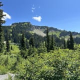 Tipsoo Lake Loop, Washington - 343 Reviews, Map | AllTrails