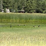 Crystal Point Trail, Arizona - 529 Reviews, Map | AllTrails