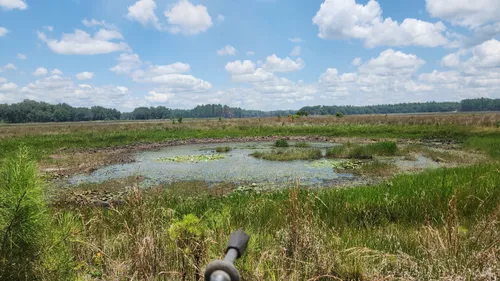 Best Hikes and Trails in Watermelon Pond Wildlife and Environmental ...