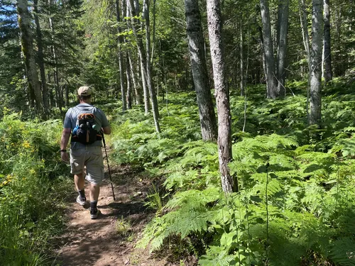 2023 Best Short Trails in Copper Harbor Trail System | AllTrails