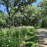 Fort Hill Trail, Illinois - 338 Reviews, Map | AllTrails