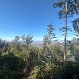 Mount Sutro Loop, California - 2,139 Reviews, Map | AllTrails