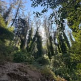 Mount Sutro Loop, California - 2,139 Reviews, Map | AllTrails