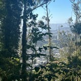 Mount Sutro Loop, California - 2,139 Reviews, Map | AllTrails