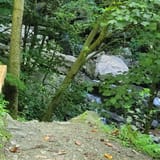 Back Mountain Trail, Pennsylvania - 401 Reviews, Map | AllTrails