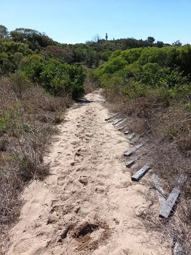 Best Hikes and Trails in Slade Point Reserve | AllTrails