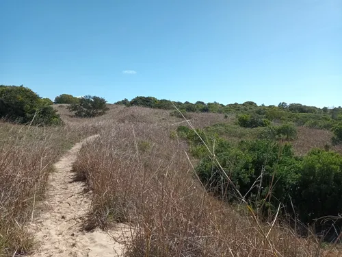 Best Hikes and Trails in Slade Point Reserve | AllTrails