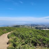 Sweeney Ridge Trail via Mori Ridge, California - 1,545 Reviews, Map ...
