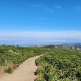 Sweeney Ridge Trail via Mori Ridge, California - 1,545 Reviews, Map ...