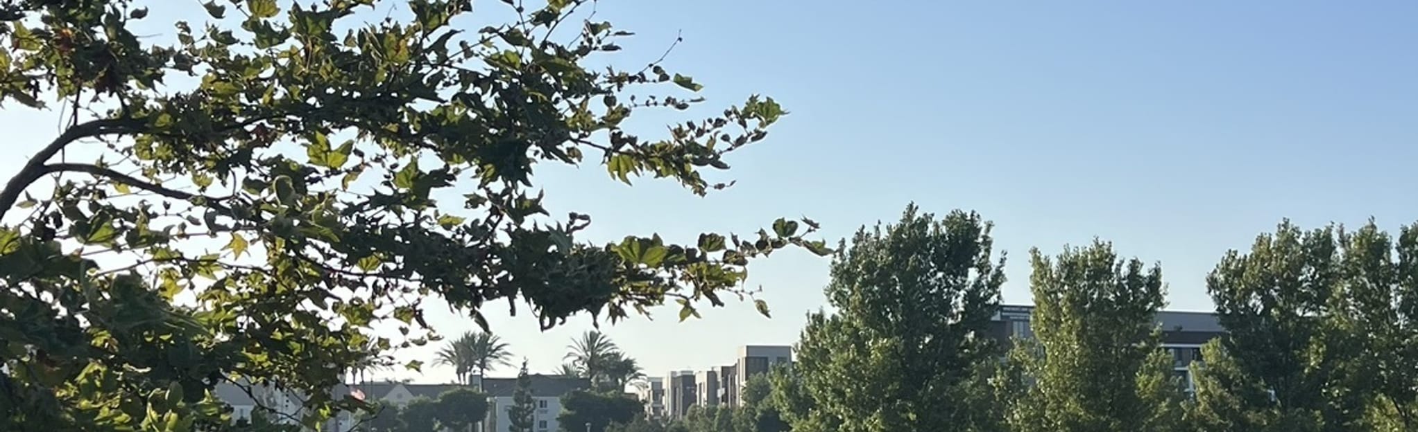 Tustin Legacy Park Loop: 62 Reviews, Map - California | AllTrails