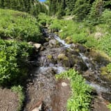 Berkeley Park Trail, Washington - 363 Reviews, Map | AllTrails