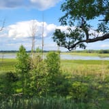 Tobico Marsh Trail, Michigan - 648 Reviews, Map | AllTrails