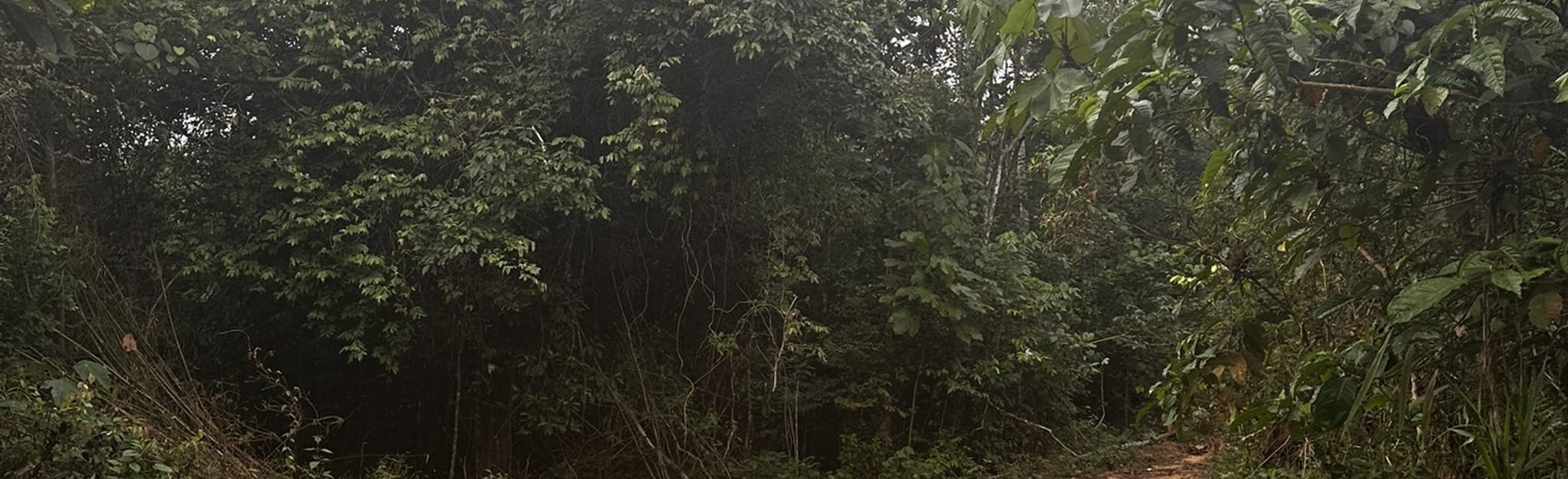 Lata Gapi Waterfall: 57 Reviews, Map - Selangor, Malaysia | AllTrails