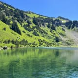 Tatoosh Ridge Trail, Washington - 313 Reviews, Map | AllTrails