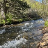 Lost Lake Trail, New Mexico - 287 Reviews, Map | AllTrails