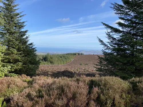 Best Hikes and Trails in Glencullen Adventure Park | AllTrails