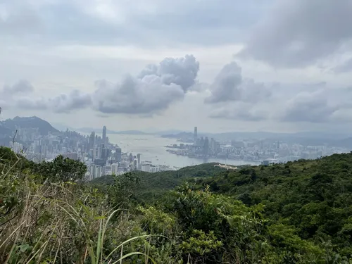 2023 Best Wildlife Trails in Tai Tam | AllTrails
