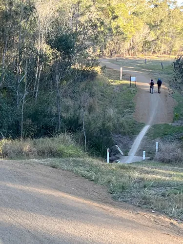 2023 Best Trails, Walks, and Paths in Esk | AllTrails