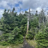 Great Range Loop Trail, New York - 369 Reviews, Map | AllTrails