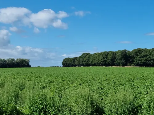 2023 Best City Walk Trails in Bootle | AllTrails