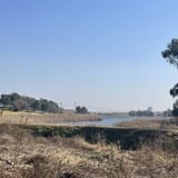 Modderfontein Dam Loop, Gauteng, South Africa - 379 Reviews, Map ...