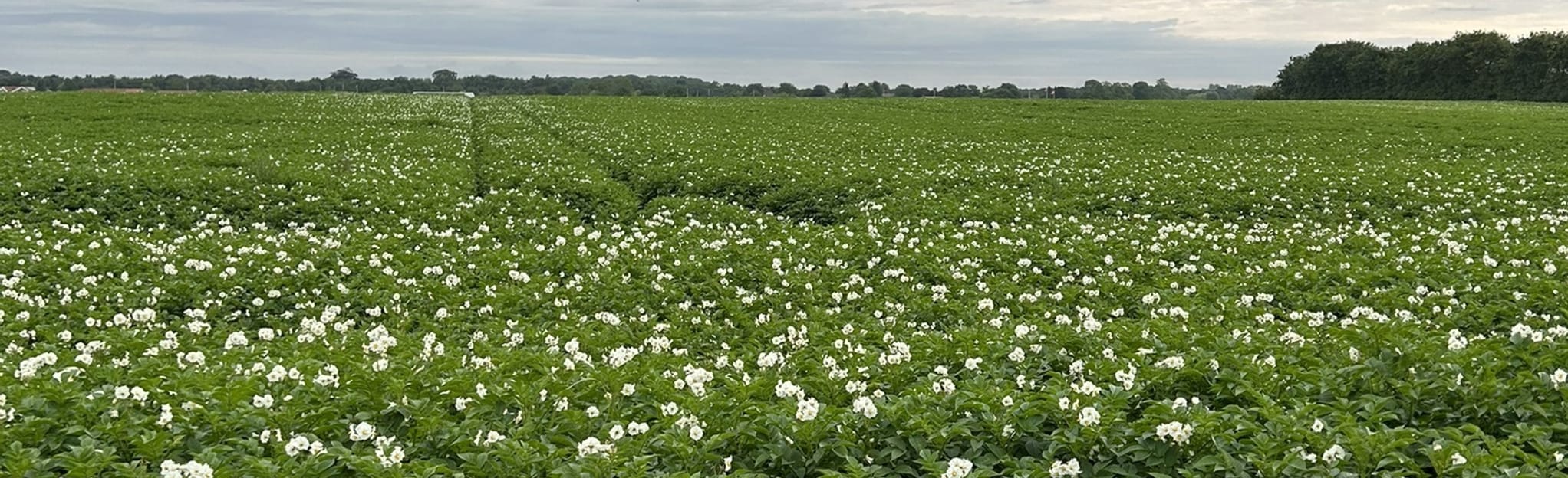 Vamdrup Rundt | AllTrails