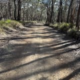 Six Foot Track, New South Wales, Australia - 154 Reviews, Map | AllTrails