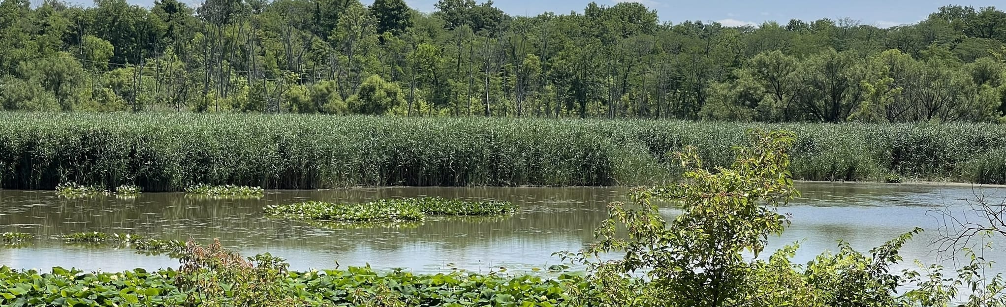 Huron River Path MetroPark, Ohio - 71 Reviews, Map | AllTrails