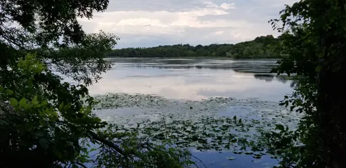 Best Hikes and Trails in Beaver Lake Park | AllTrails