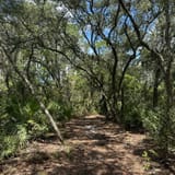 Guana Trail, Marshview Lane, and Shellbluff Road, Florida - 286 Reviews ...