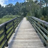 Guana Trail, Marshview Lane, and Shellbluff Road, Florida - 286 Reviews ...