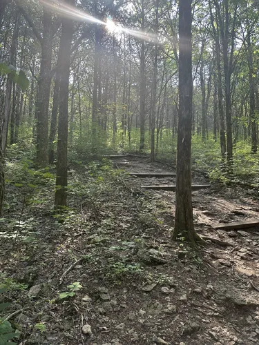 Best Hikes and Trails in Marcella Vivrette Smith Park | AllTrails