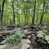 Cascade Falls Loop Trail, Massachusetts - 771 Reviews, Map | AllTrails