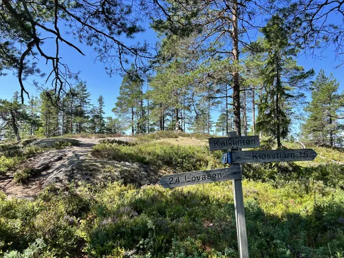 2023 Best Wild Flowers Trails in Kindla Naturreservat | AllTrails