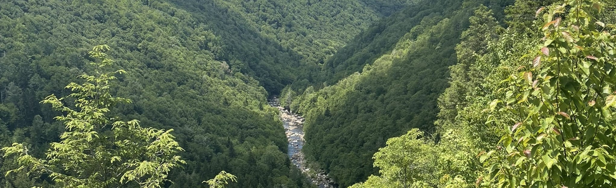 Pendleton Point Overlook, West Virginia - 160 Reviews, Map | AllTrails