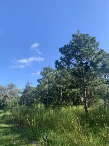 Best Hikes and Trails in Hidden Waters Preserve | AllTrails