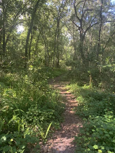 Best Hikes and Trails in Hidden Waters Preserve | AllTrails