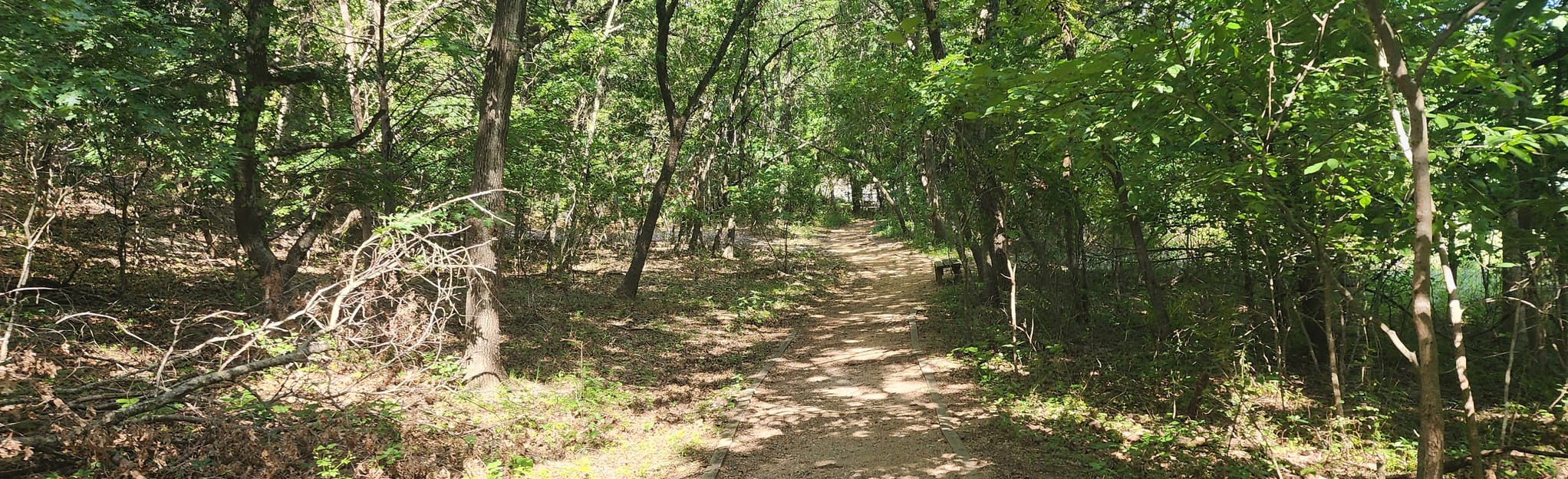 Hoot Owl and Sycamore Loop Trail: 16 Reviews, Map - Texas | AllTrails