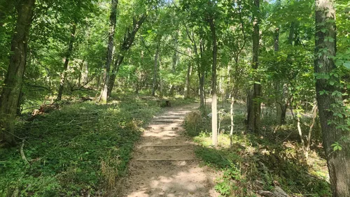 10 Best Trails and Hikes in McKinney | AllTrails