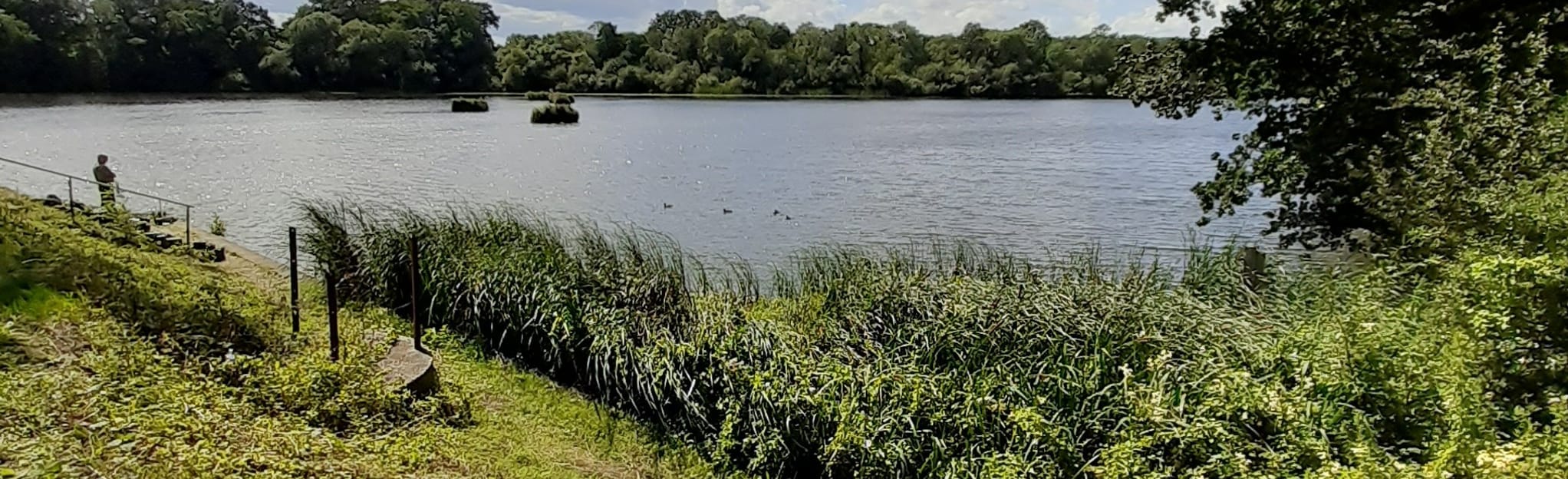 Shipley Country Park and Woodside Nature Reserve, Derbyshire, England ...
