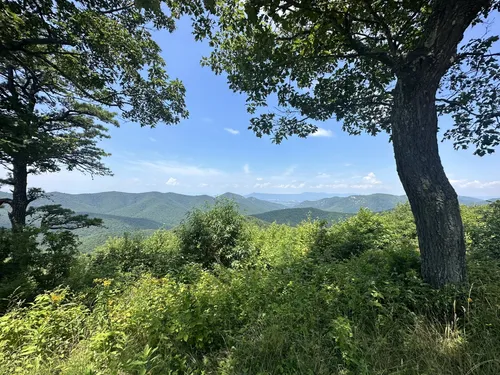 10 Best Trails and Hikes in Crozet | AllTrails