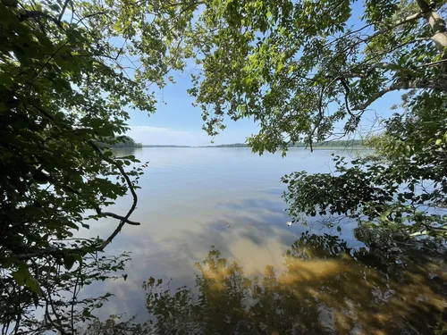 Best Hikes and Trails in Jug Bay Wetlands Sanctuary | AllTrails