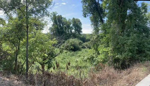 Best Hikes and Trails in Riley Lake Park | AllTrails