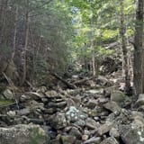 Gorge Path Trail, Maine - 755 Reviews, Map | AllTrails