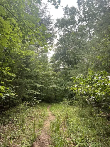 Best Hikes and Trails in Ashmore Heritage Preserve | AllTrails
