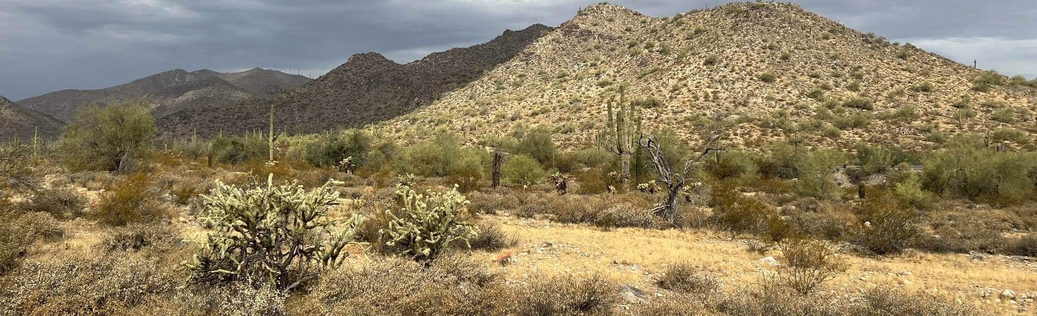 Goat Camp Trail to Mesquite Canyon Trail Loop, Arizona - 279 Reviews ...